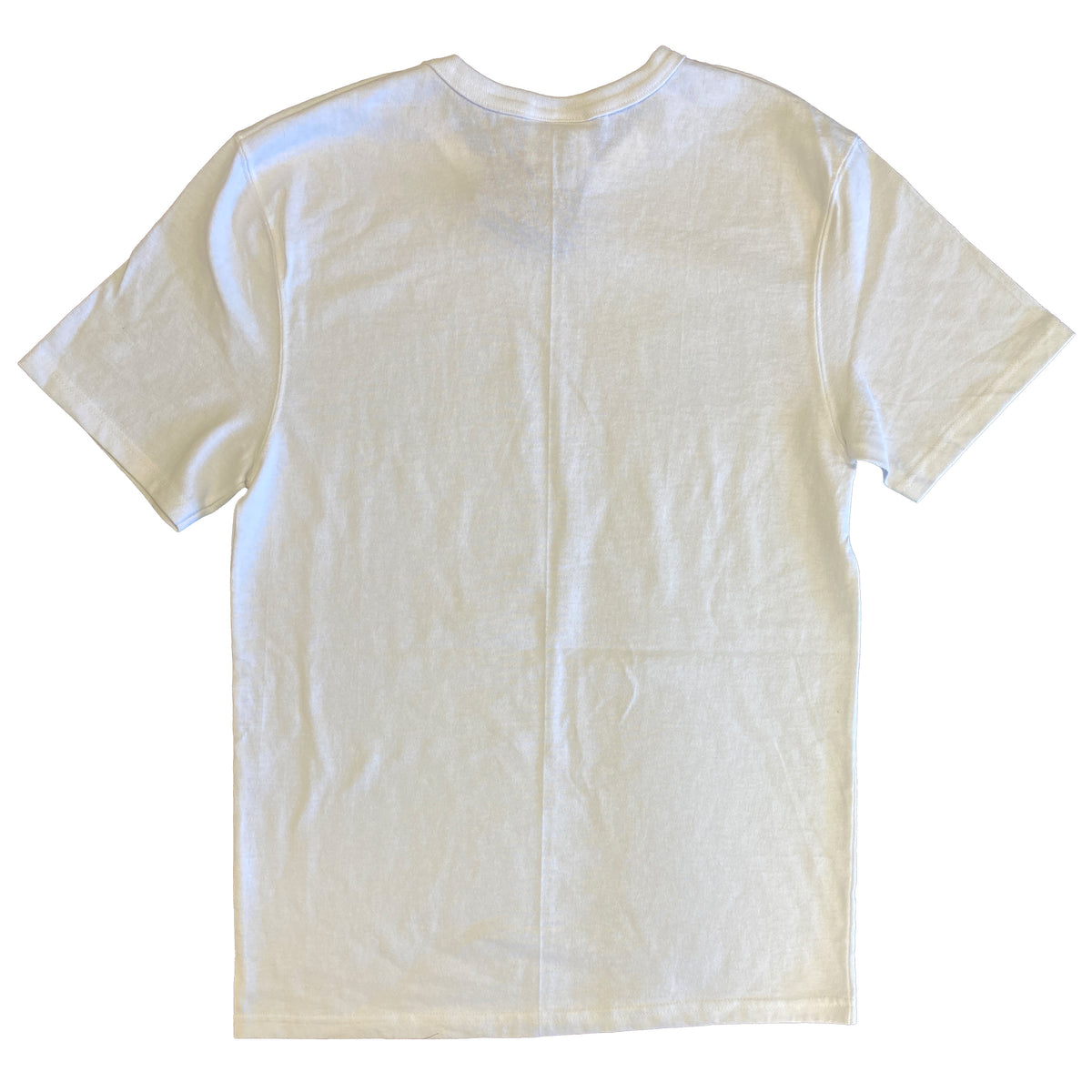 Champion Men’s Offset Block Heritage Tee – That Shoe Store and More